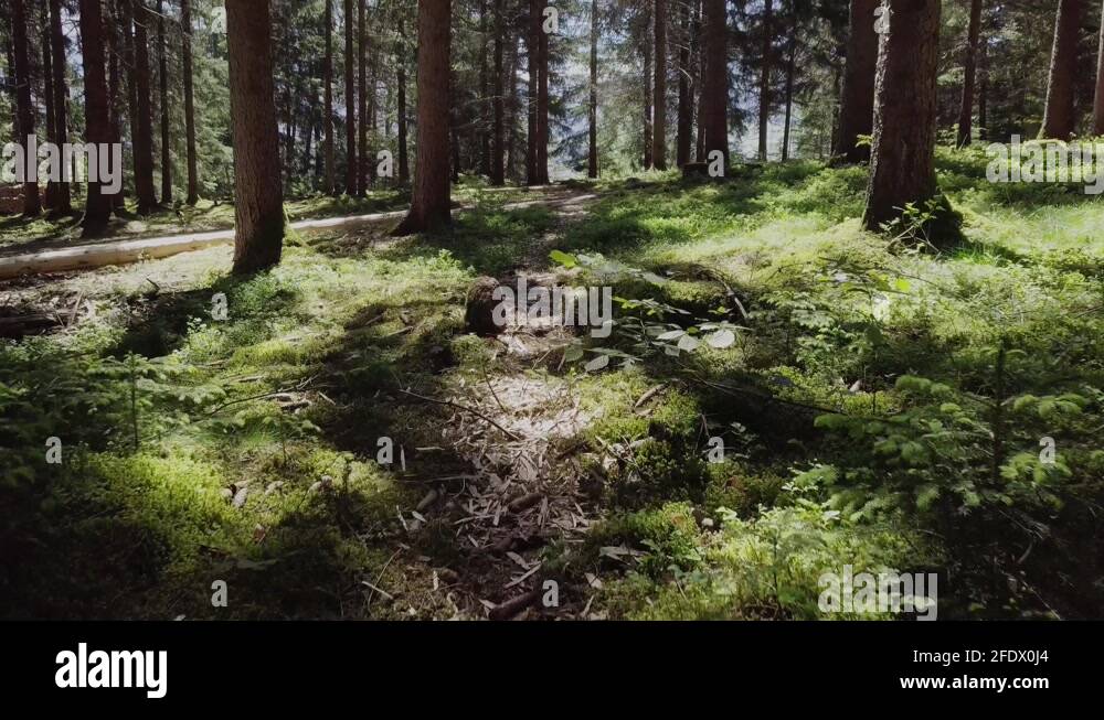 Angel flares Stock Videos & Footage - HD and 4K Video Clips - Alamy