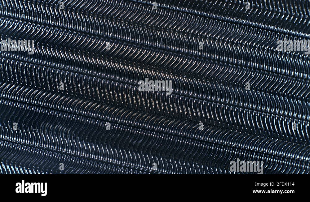 Strip of repeating pattern Stock Videos & Footage - HD and 4K Video ...