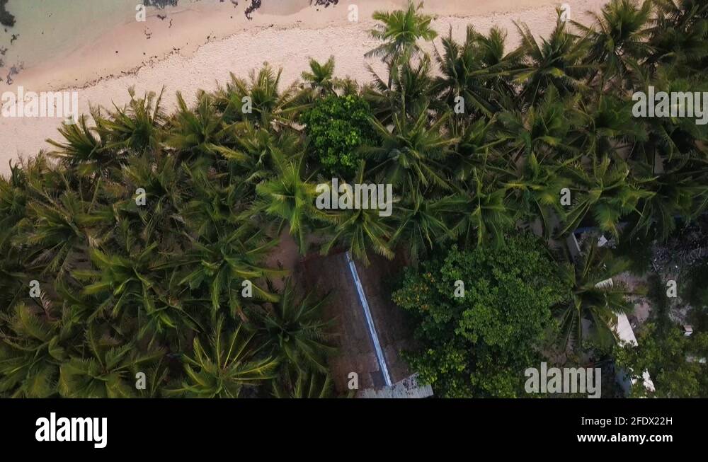 Birdview Stock Videos & Footage - HD and 4K Video Clips - Alamy