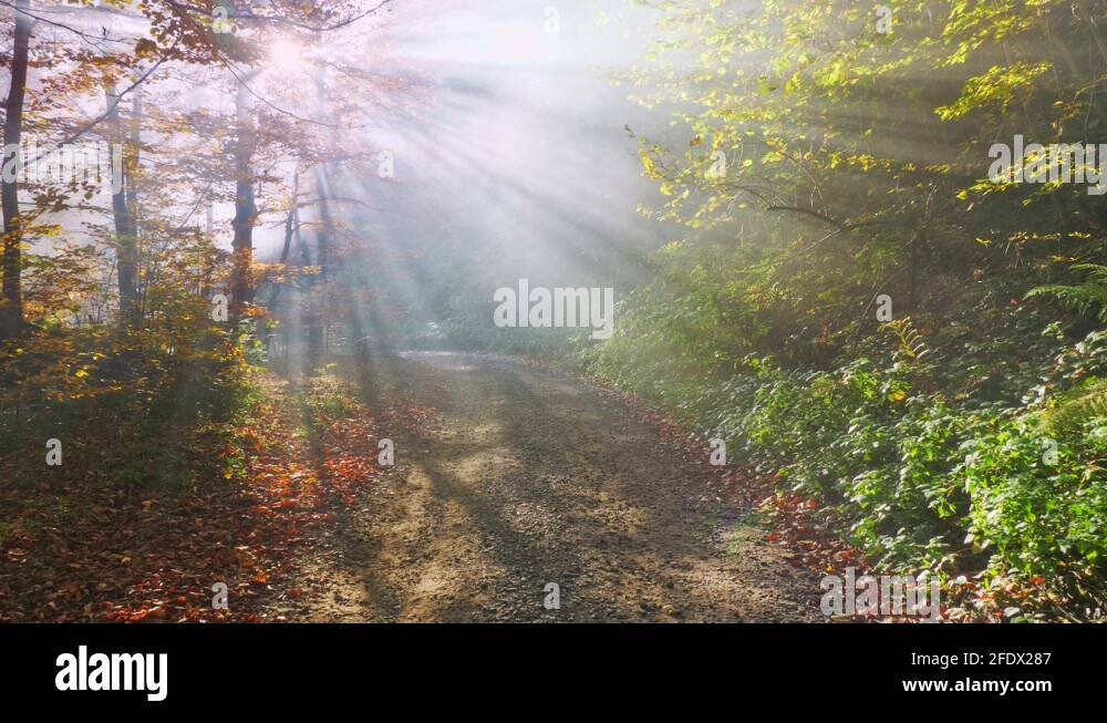 The shining path movement Stock Videos & Footage - HD and 4K Video ...