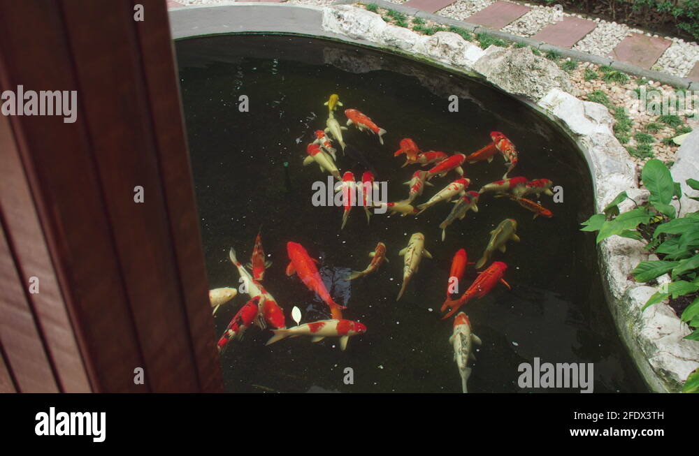 Pond terrace Stock Videos & Footage - HD and 4K Video Clips - Alamy