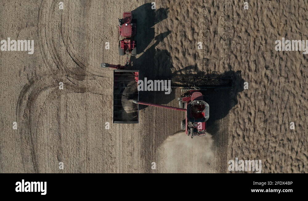 Combine Harvesters With Tractor Hopper Harvesting Crops On The Field In ...
