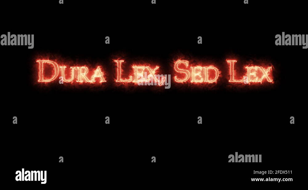 Lex Stock Videos & Footage - HD and 4K Video Clips - Alamy