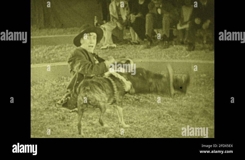 Circus dog Stock Videos & Footage - HD and 4K Video Clips - Alamy