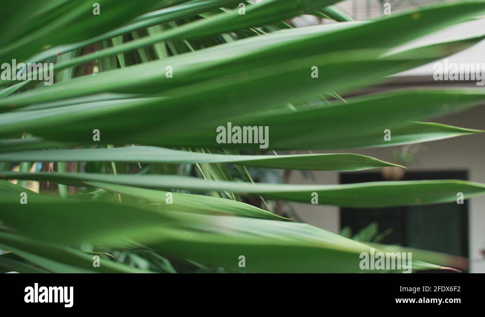 Hotel room doors Stock Videos & Footage - HD and 4K Video Clips - Alamy