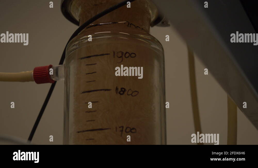 Water pollution indicator plant Stock Videos & Footage - HD and 4K ...