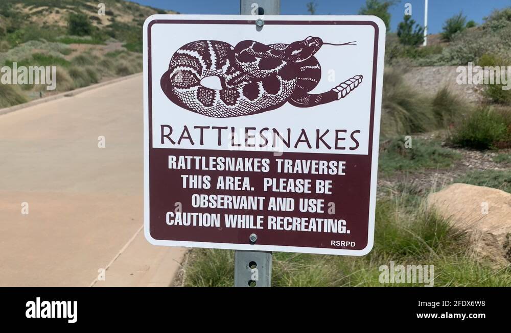 Reptile warning sign Stock Videos & Footage - HD and 4K Video Clips - Alamy