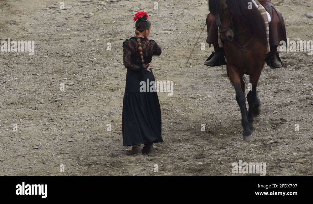 Andalusian dancing horse Stock Videos & Footage - HD and 4K Video Clips ...