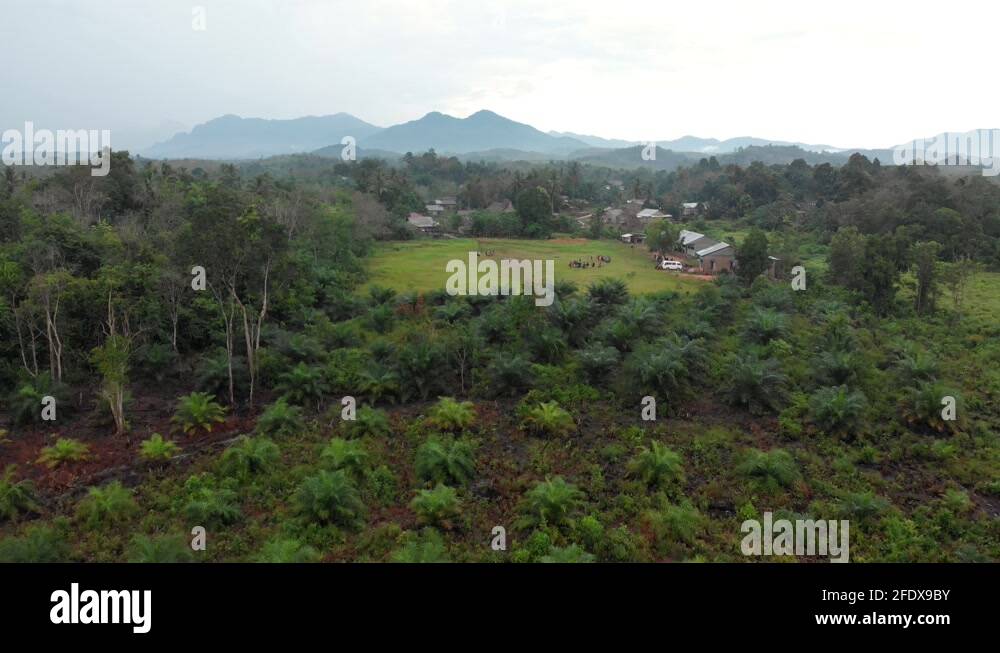 Borneo landscape Stock Videos & Footage - HD and 4K Video Clips - Alamy