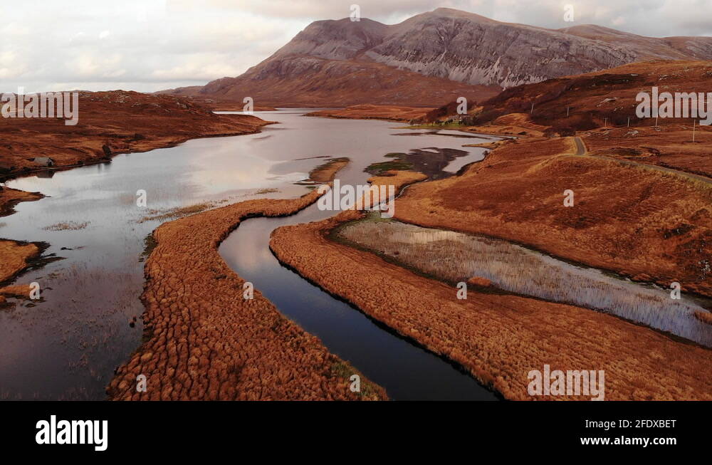 Scottish loch wildlife Stock Videos & Footage - HD and 4K Video Clips ...
