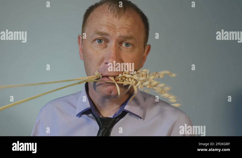 Oat straw Stock Videos & Footage - HD and 4K Video Clips - Alamy