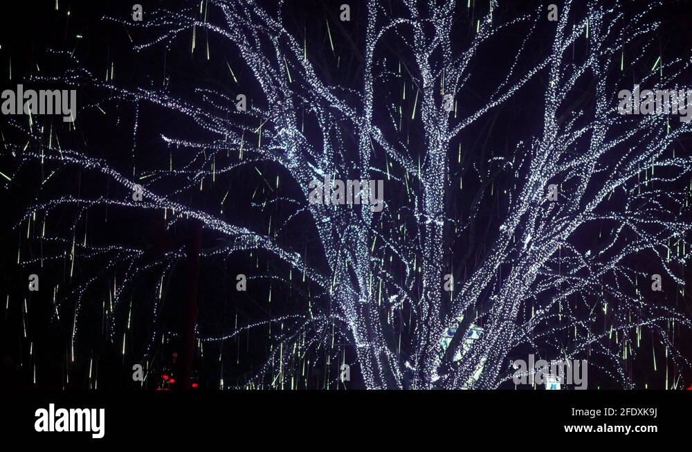 Weeping tree with rain drops made of light. Display at the Chinese ...