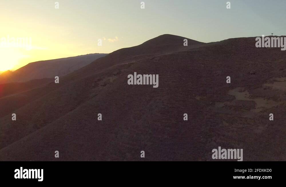 Go to ground dog Stock Videos & Footage - HD and 4K Video Clips - Alamy