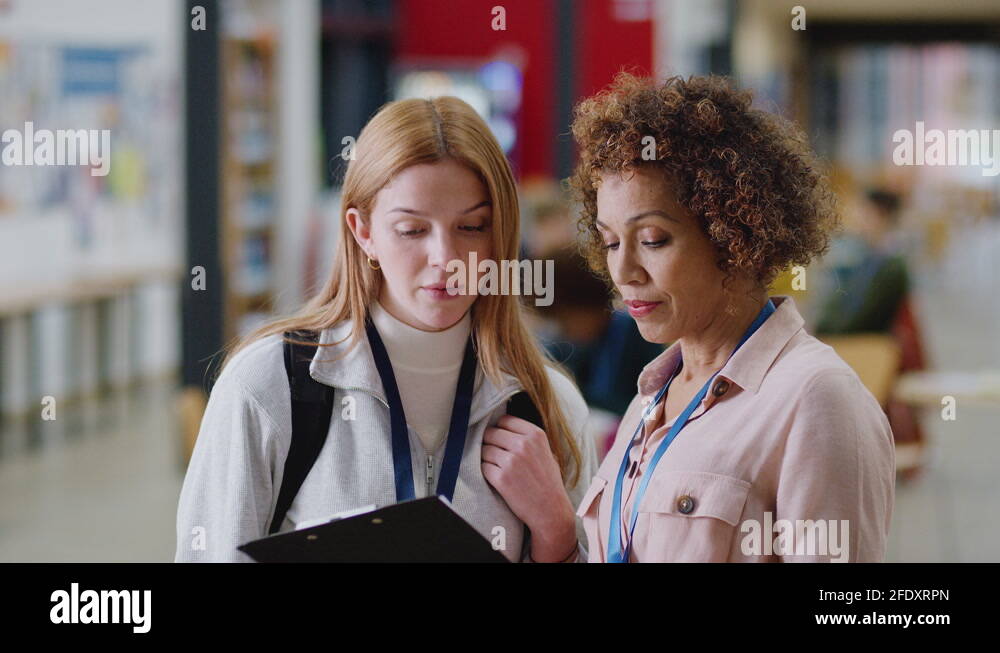 Female tutor and woman student Stock Videos & Footage - HD and 4K Video ...