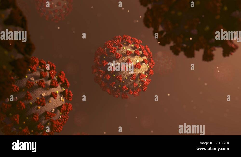Floating Coronavirus inside the body, 3D Render, Virus Covid-19 Stock ...