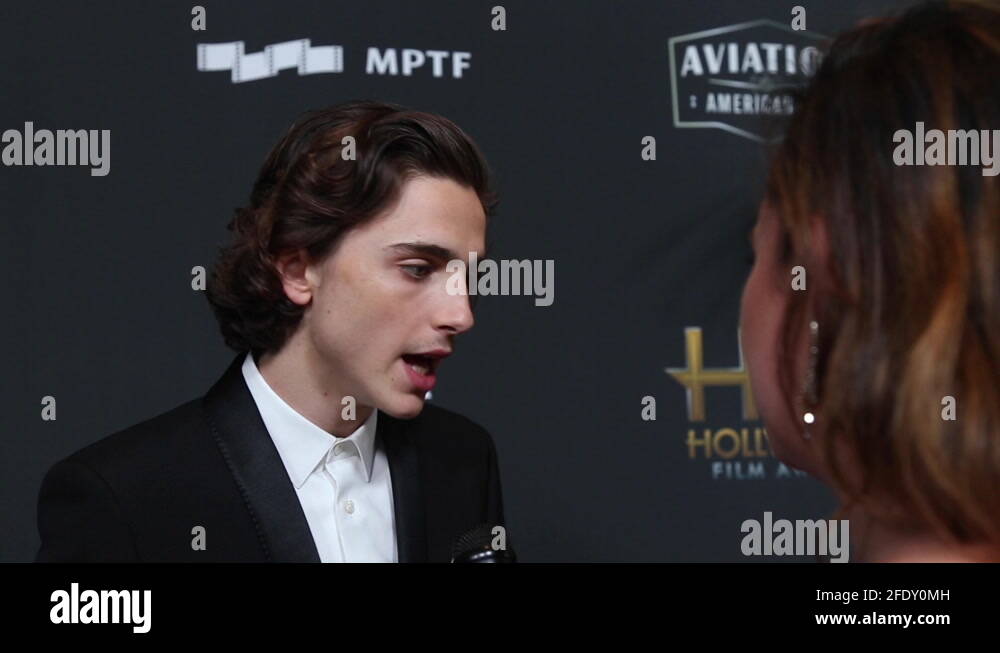 Timothee chalamet suit Stock Videos & Footage - HD and 4K Video Clips ...
