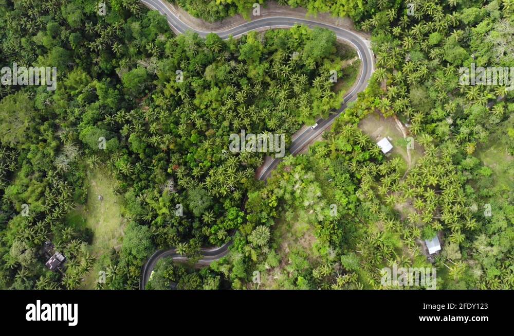 Philippines jungle Stock Videos & Footage - HD and 4K Video Clips - Alamy