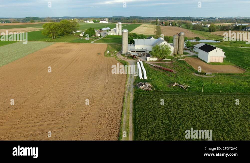 Amish cattle farm lancaster county Stock Videos & Footage - HD and 4K ...