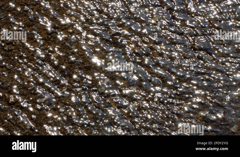 Sunlight in water Stock Videos & Footage - HD and 4K Video Clips - Alamy
