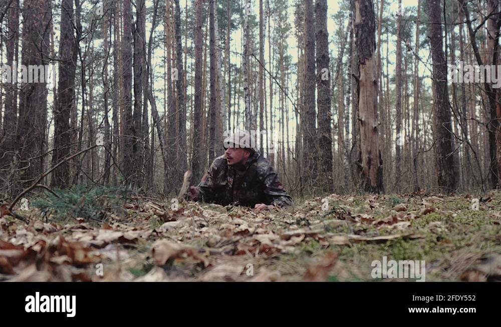 Ground hunter Stock Videos & Footage - HD and 4K Video Clips - Alamy