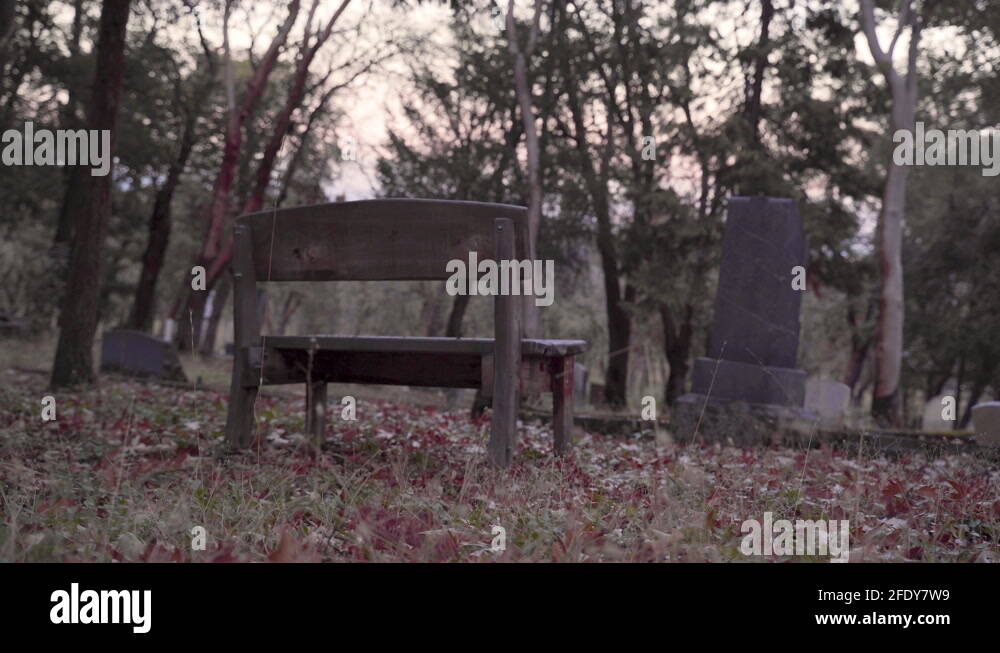 Memorial bench and cemetery Stock Videos & Footage - HD and 4K Video ...