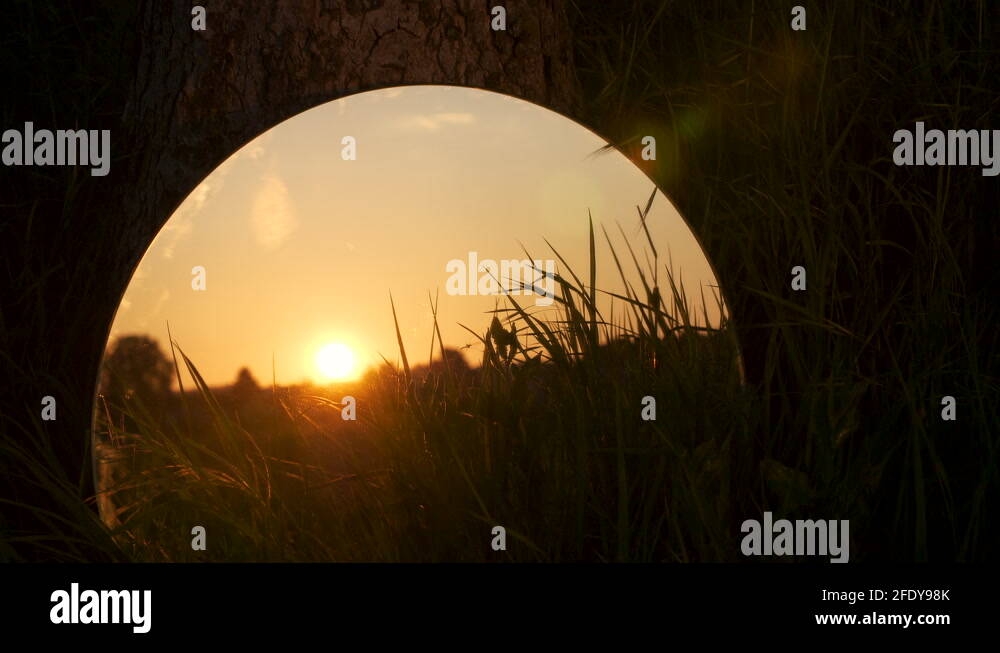 Mirror in nature Stock Videos & Footage - HD and 4K Video Clips - Alamy