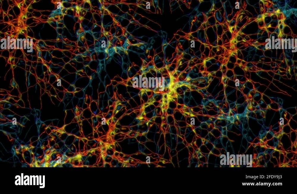 Moving neural connections in the human brain Stock Video Footage - Alamy