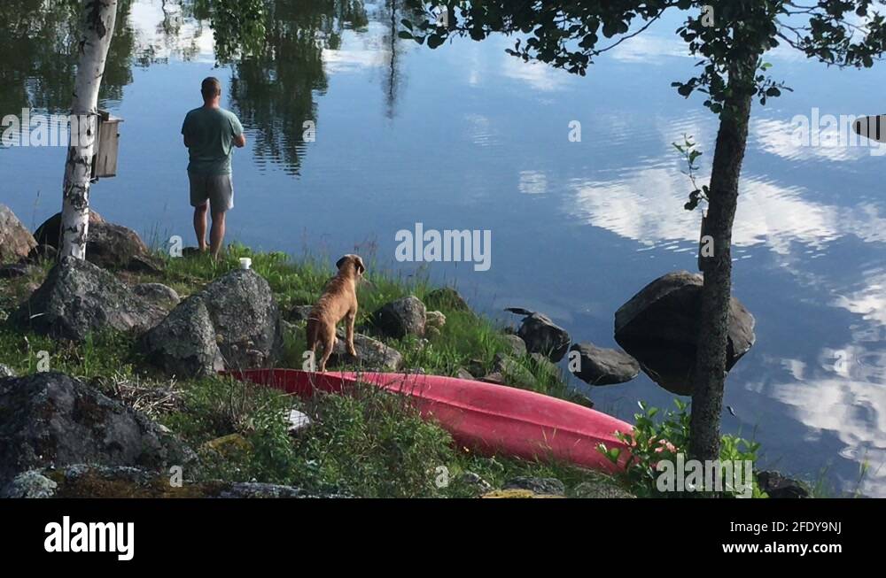 Fishing rod and dog Stock Videos & Footage - HD and 4K Video Clips - Alamy