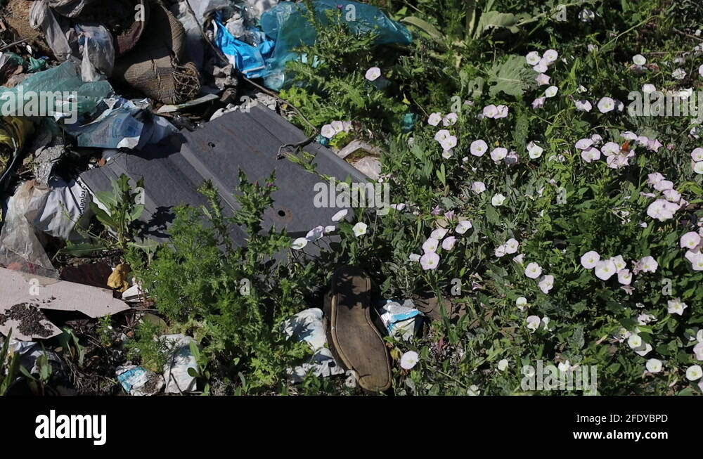 Degraded ecosystem Stock Videos & Footage - HD and 4K Video Clips - Alamy