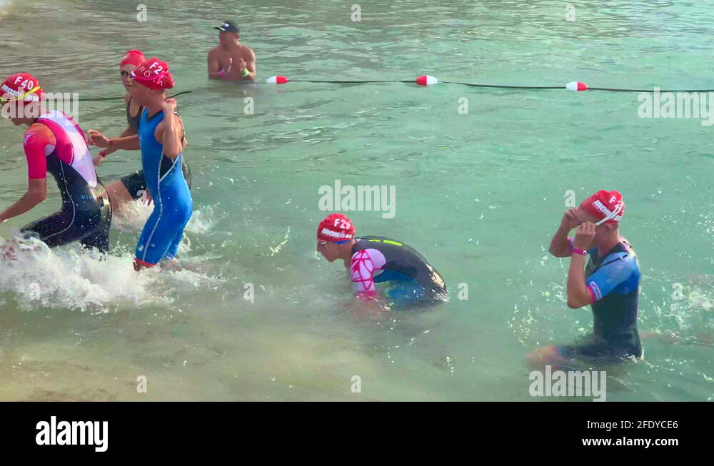 Swimming finish line Stock Videos & Footage - HD and 4K Video Clips - Alamy
