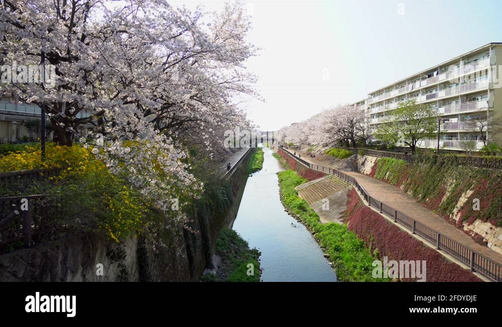 Green corridors Stock Videos & Footage - HD and 4K Video Clips - Alamy