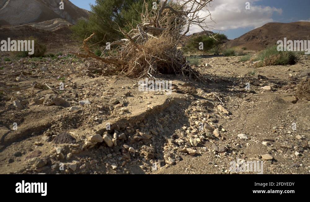 Arid dry desert Stock Videos & Footage - HD and 4K Video Clips - Alamy