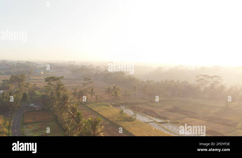Dry season in bali Stock Videos & Footage - HD and 4K Video Clips - Alamy