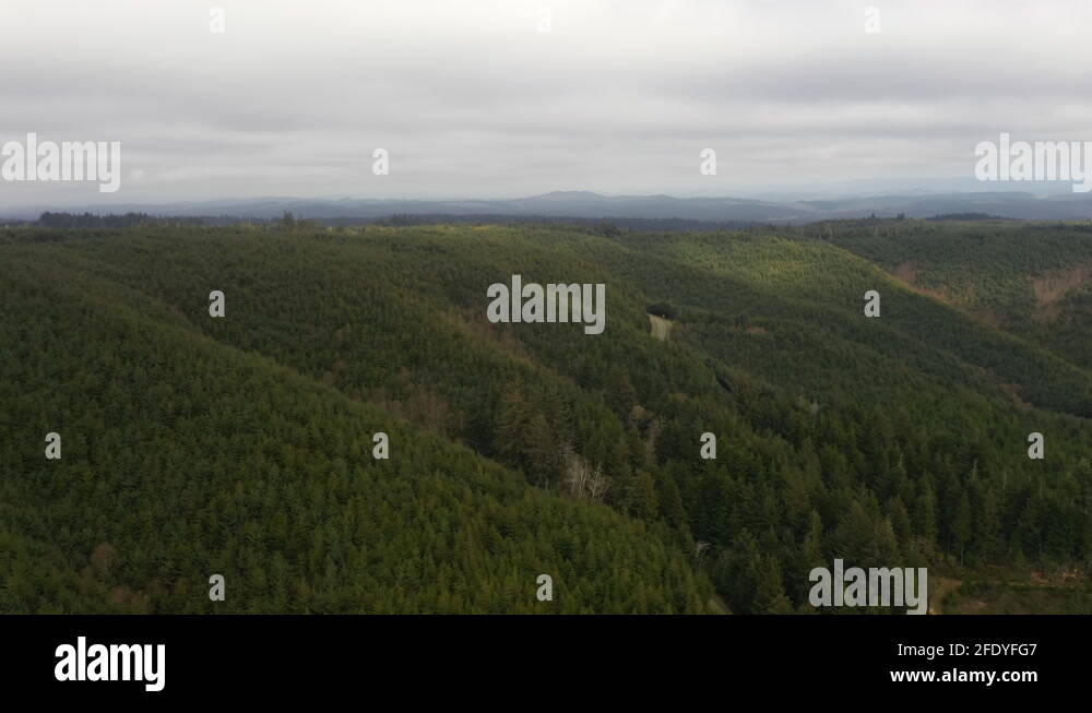Bandon bay Stock Videos & Footage - HD and 4K Video Clips - Alamy