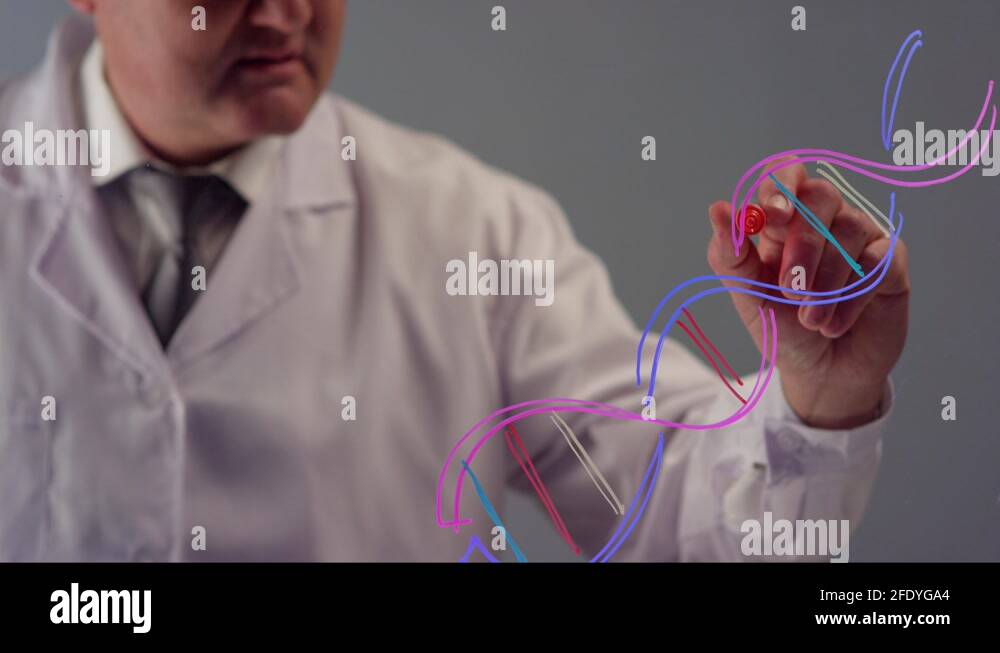 Scientist Drawing The Structure Of Dna Stock Video Footage - Alamy