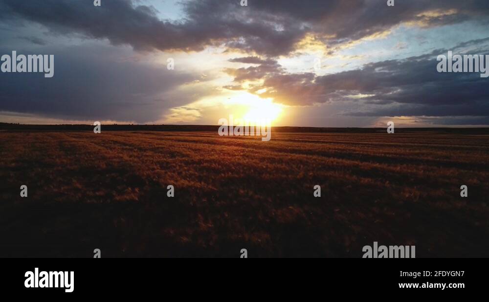 Open field in country Stock Videos & Footage - HD and 4K Video Clips ...