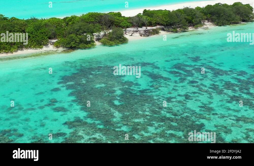 Untouched ecosystem Stock Videos & Footage - HD and 4K Video Clips - Alamy