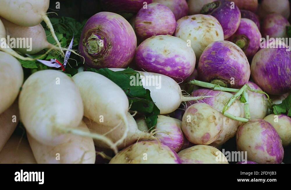 Pile of turnips Stock Videos & Footage - HD and 4K Video Clips - Alamy