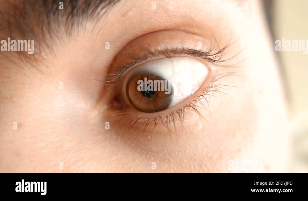 Eye Ball Body Part Macro Closeup Stock Video Footage - Alamy