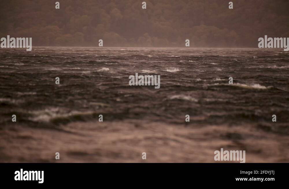 Gale force winds blowing Stock Videos & Footage - HD and 4K Video Clips ...