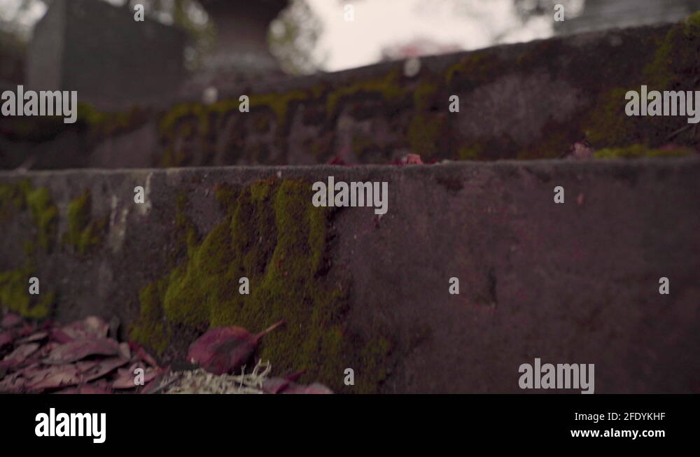 Cemetery stairs Stock Videos & Footage - HD and 4K Video Clips - Alamy