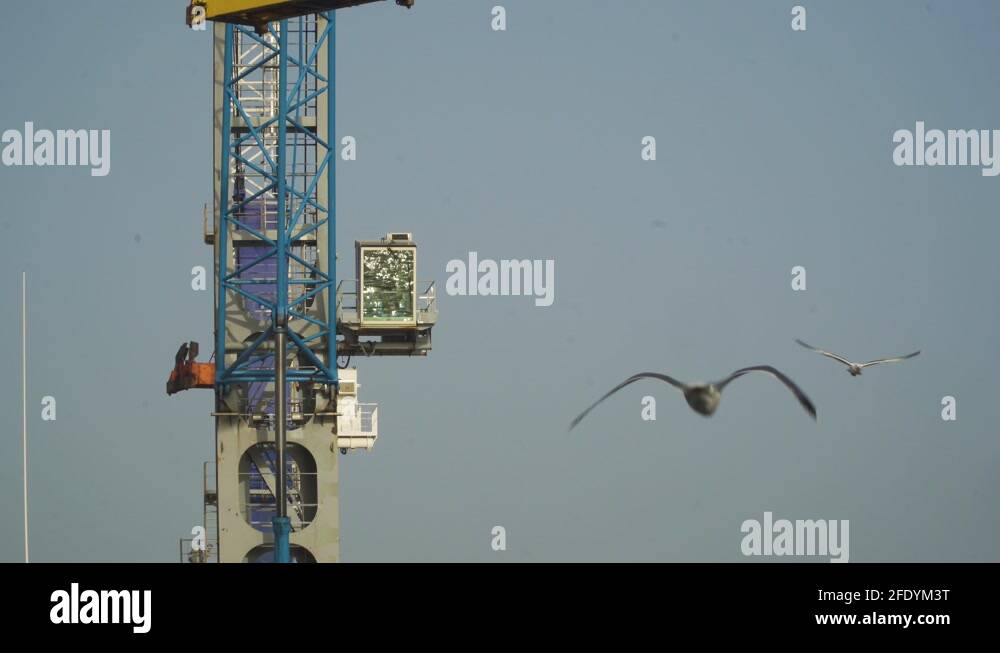 Canical madeira Stock Videos & Footage - HD and 4K Video Clips - Alamy