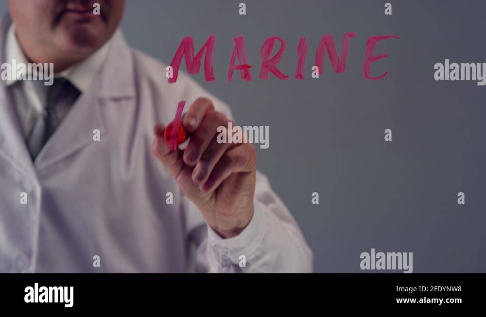 Marine sketch Stock Videos & Footage - HD and 4K Video Clips - Alamy