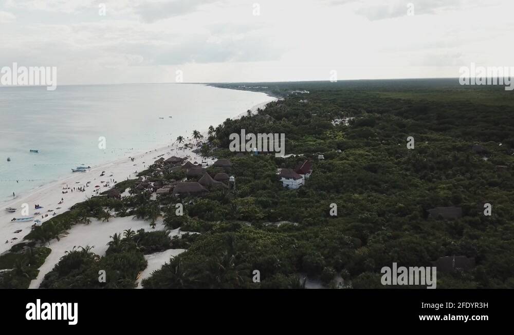 Jungle in paradise beach Stock Videos & Footage - HD and 4K Video Clips ...