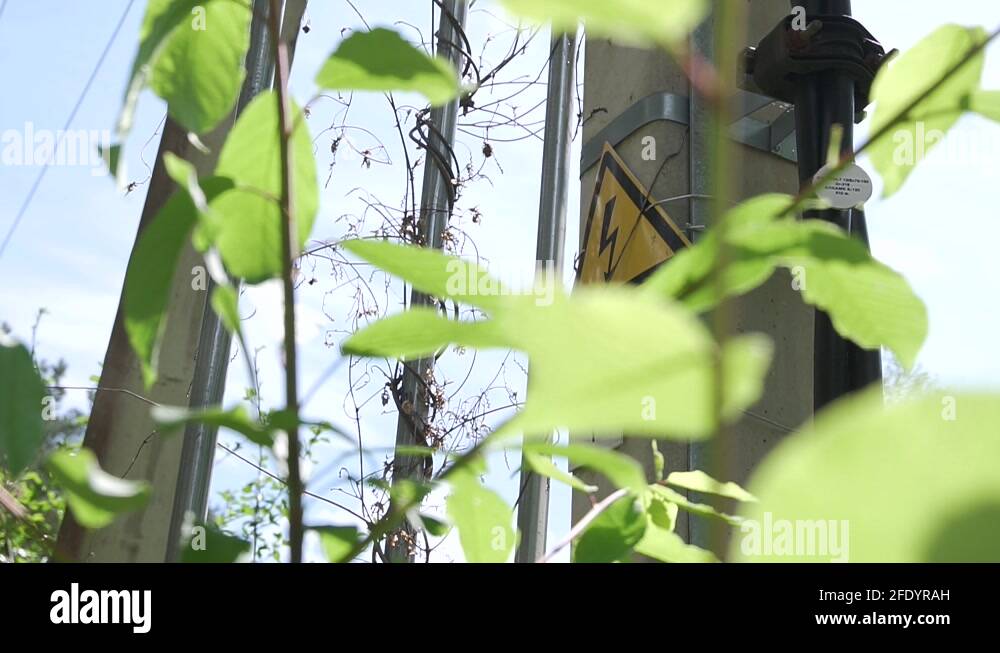 Electricity pylon top view Stock Videos & Footage - HD and 4K Video ...