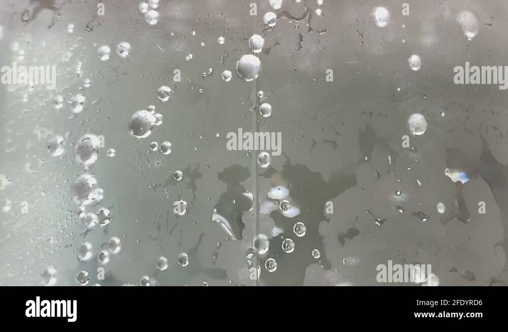 CO2 bubbles rising to the surface of a clear plastic bottle. Lighting ...