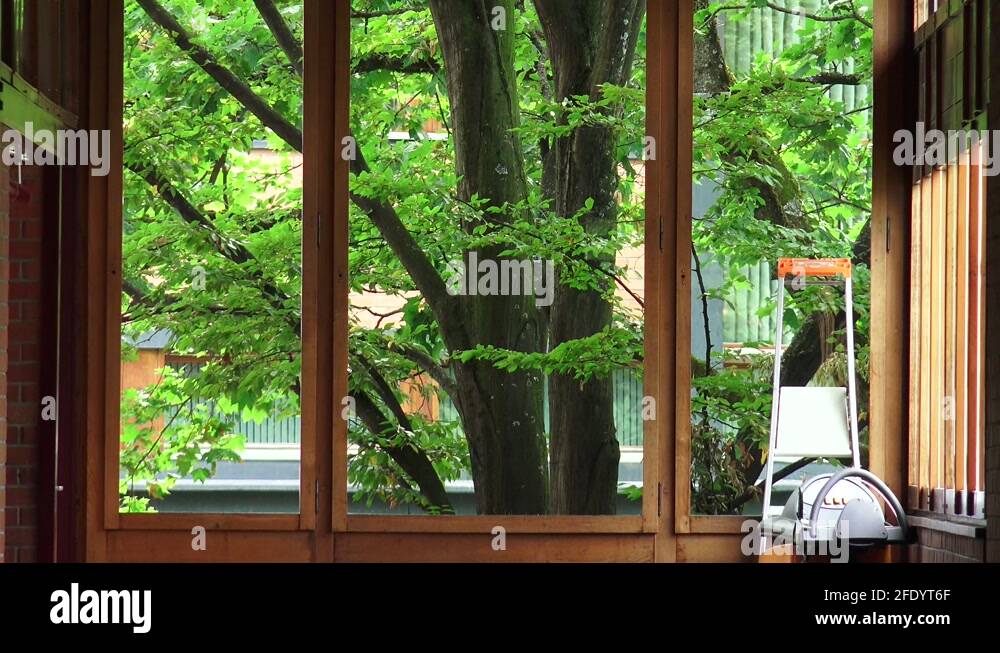 Wood corridor corridors Stock Videos & Footage - HD and 4K Video Clips ...