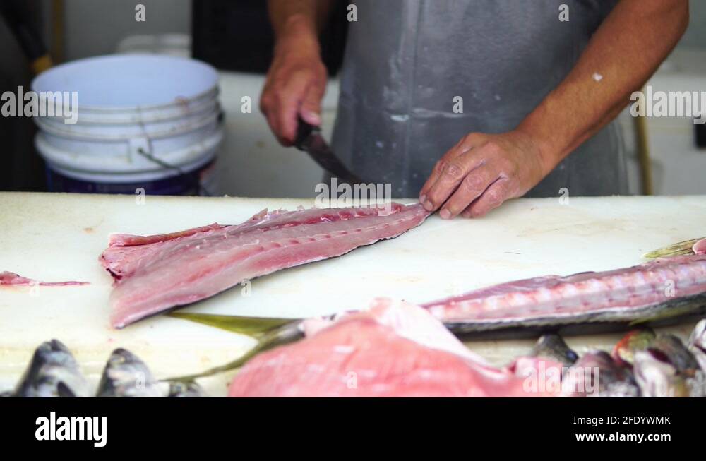 Local mediterranean fish Stock Videos & Footage - HD and 4K Video Clips ...