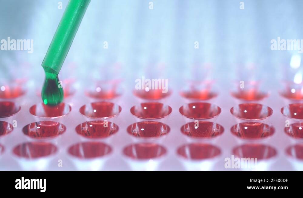 Covid 19 rapid antigen testing Stock Videos & Footage - HD and 4K Video ...
