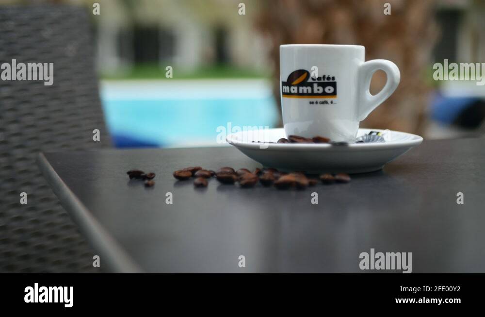 Cafe mambo Stock Videos & Footage - HD and 4K Video Clips - Alamy